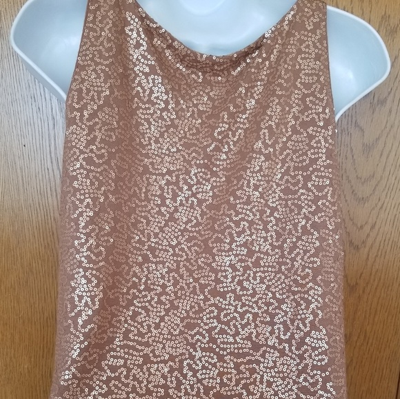 Talbots | Tops | Talbot Shimmery Bronze Tank Top Size Small | Poshmark